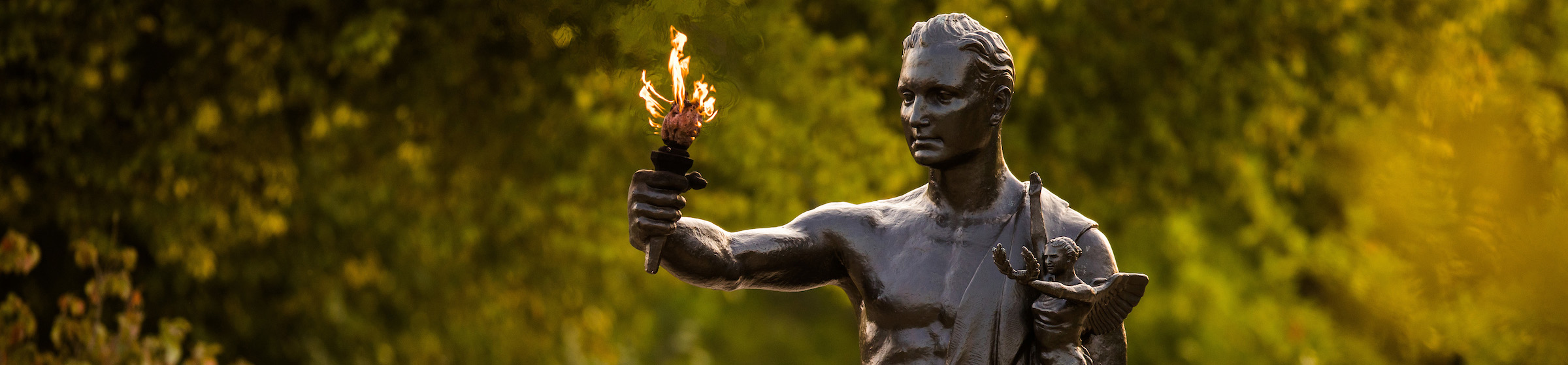 Campus Compliance Services | The University of Tennessee, Knoxville